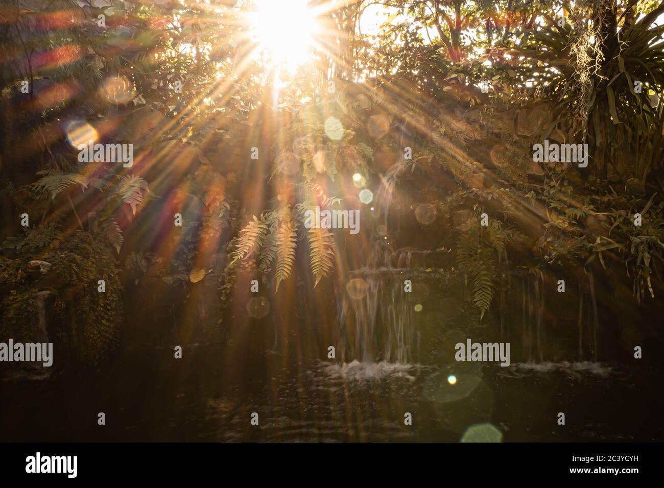 Vintage retro effect filtered hipster style image of tropical waterfall ...