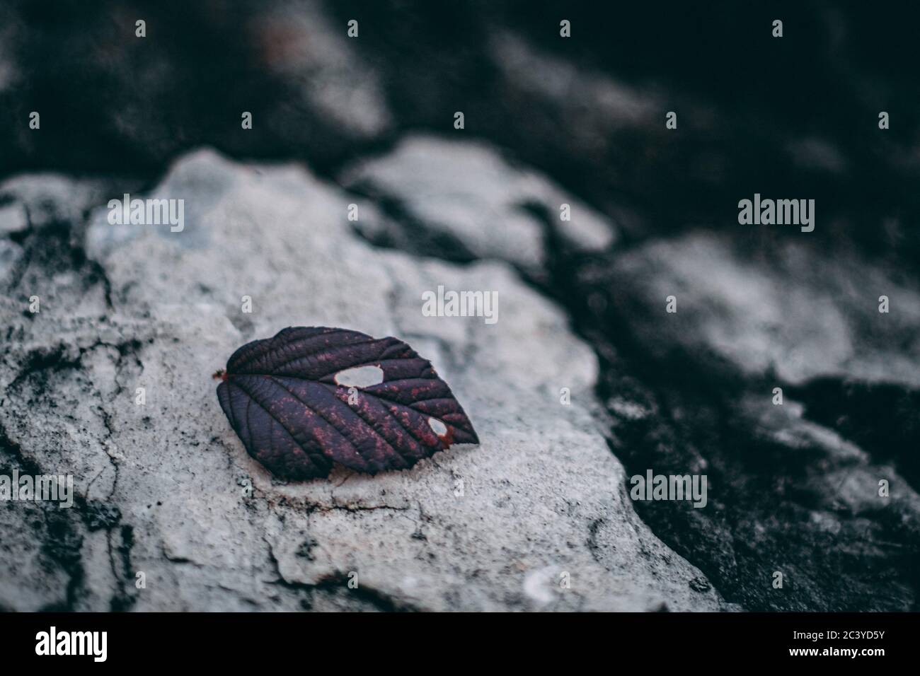 Abstract rock art hi-res stock photography and images - Alamy
