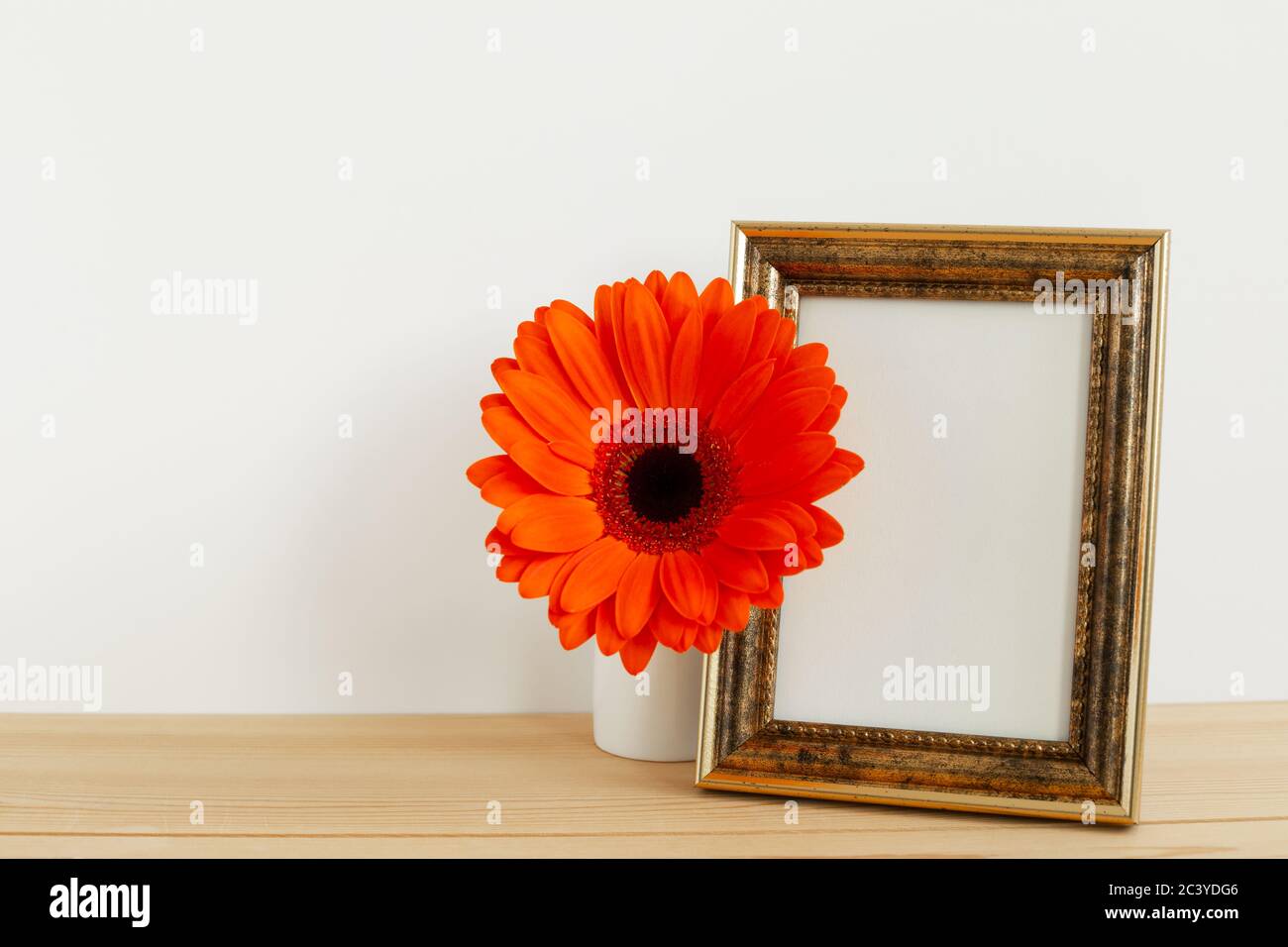 Antique photo woman hi-res stock photography and images - Alamy