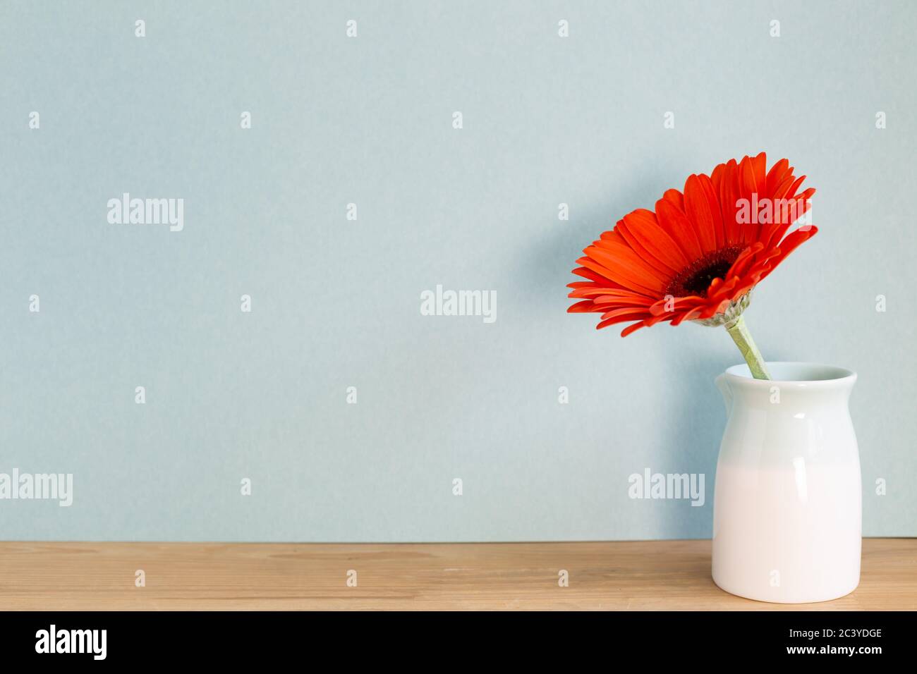 Orange gerbera flower on wooden table with sky blue background. Floral ...