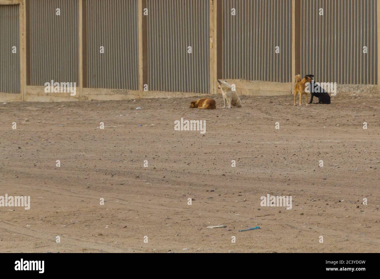 Chiribaya hi-res stock photography and images - Alamy