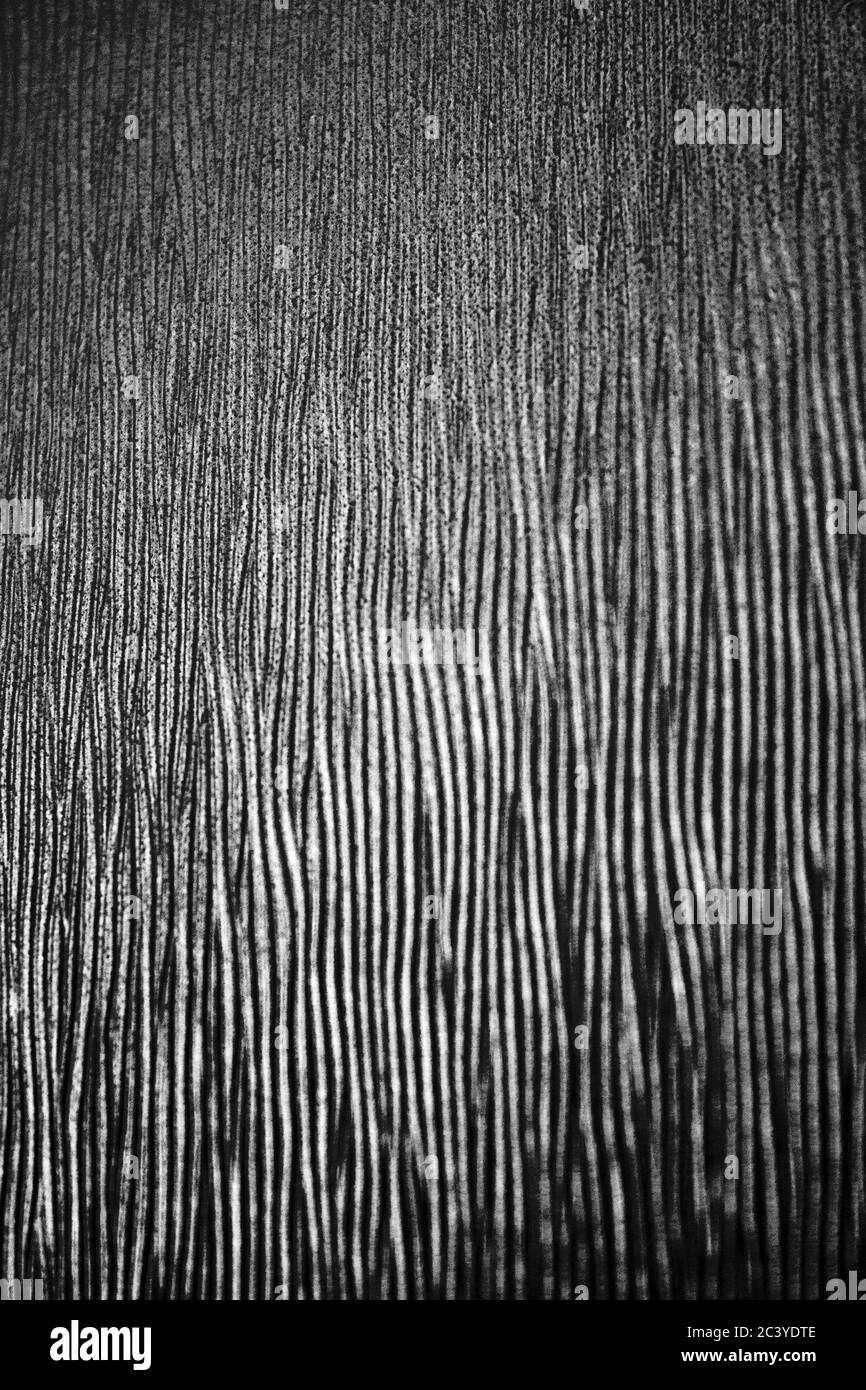 GRAY TEXTURE BACKGROUND FOR GRAPHIC DESIGN Stock Photo - Alamy