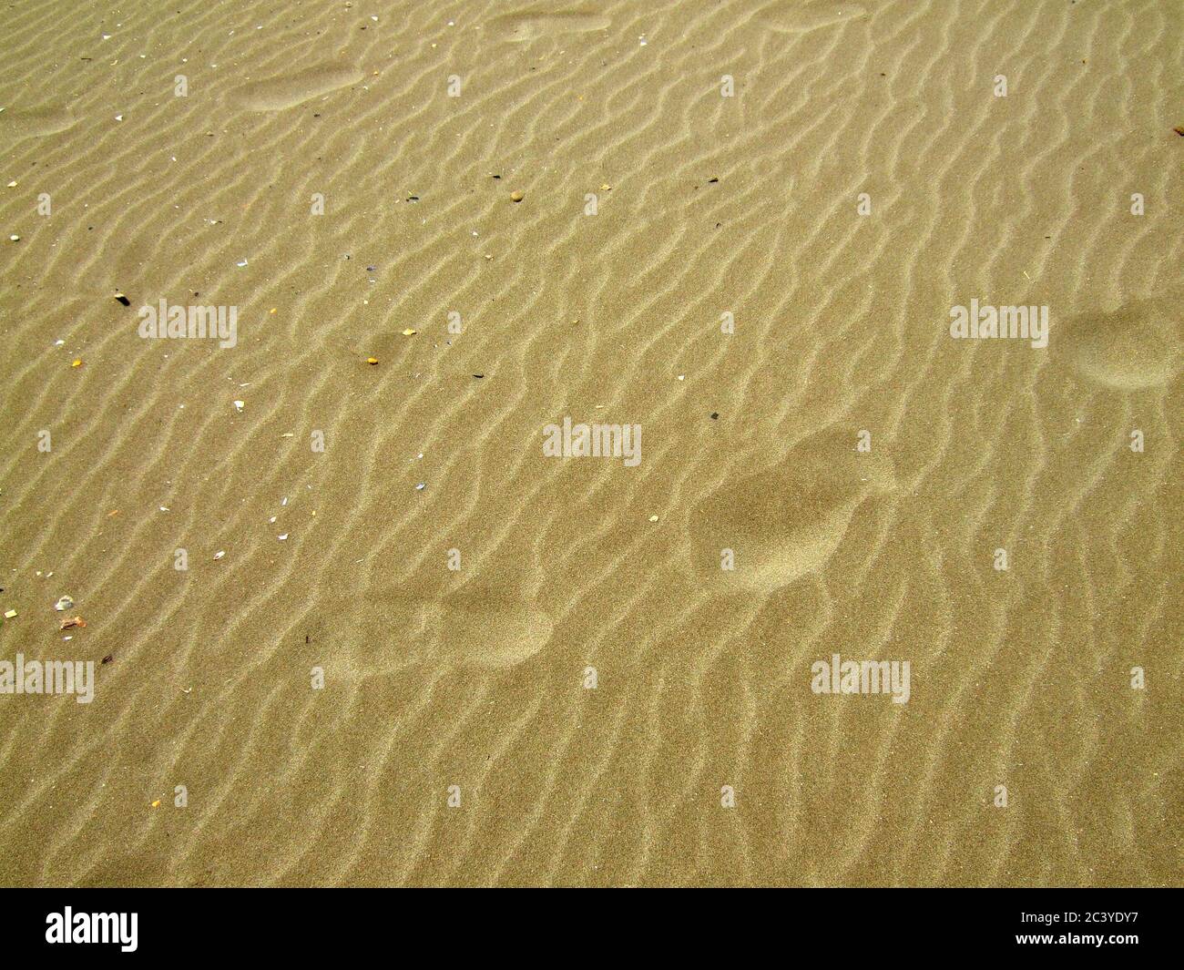 Wind marks and foodsteps in the sand on a beach by the sea Stock Photo ...