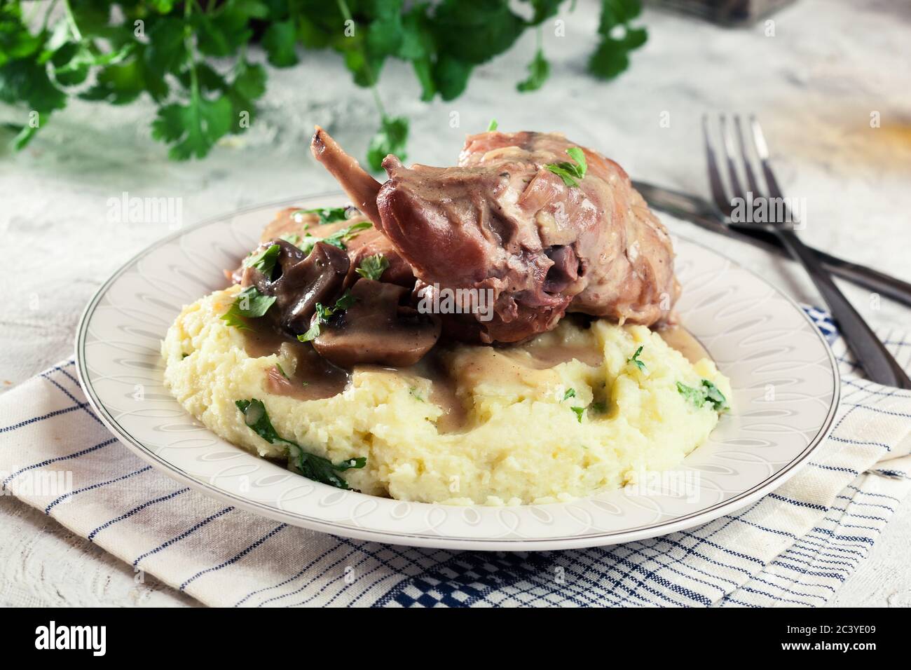 Rabbit dinner plate hi-res stock photography and images - Alamy