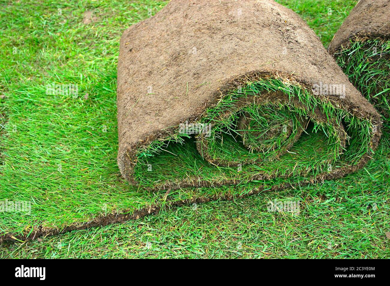 Turf - Laying green turf using rolled turf Stock Photo - Alamy