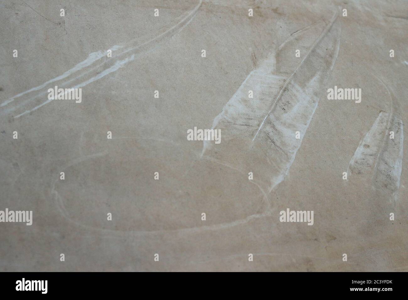 Print of a feather in the sand Stock Photo - Alamy