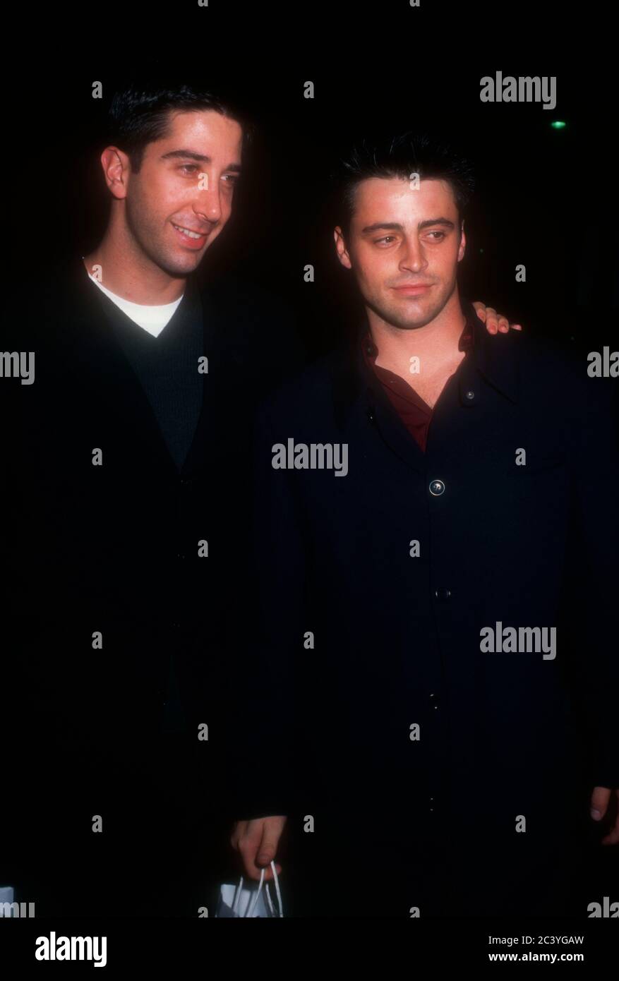 Beverly Hills, California, USA 8th November 1995 Actor David Schwimmer ...