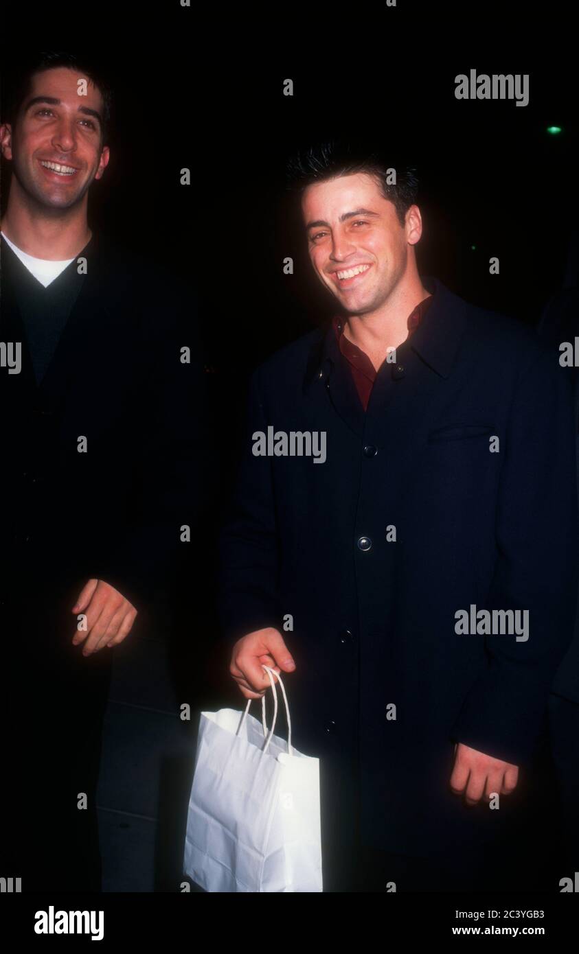 Beverly Hills, California, USA 8th November 1995 Actor David Schwimmer ...