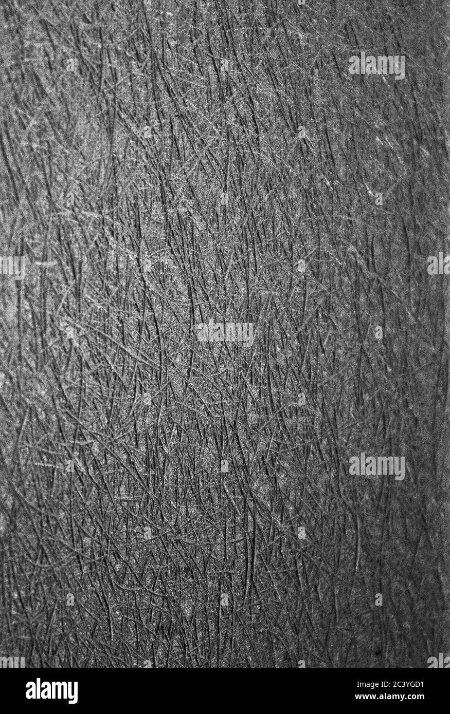 gray background texture for graphic design Stock Photo - Alamy