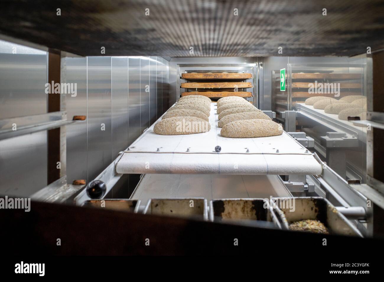 in a cold storage room the loaves of bread lie side by side on the ...