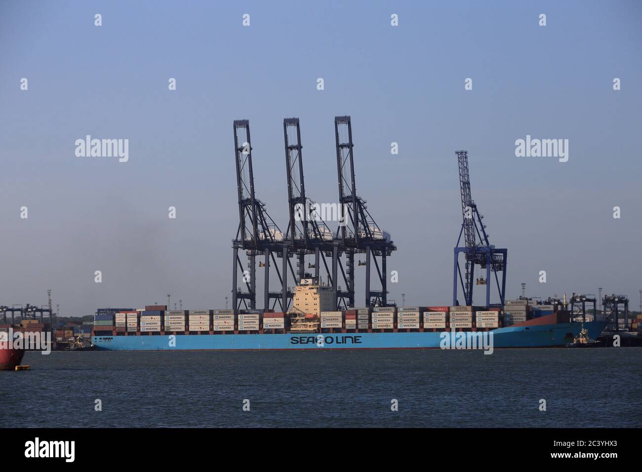 Container ship Seago Bremerhaven docked at Trinity Terminal, Port of ...