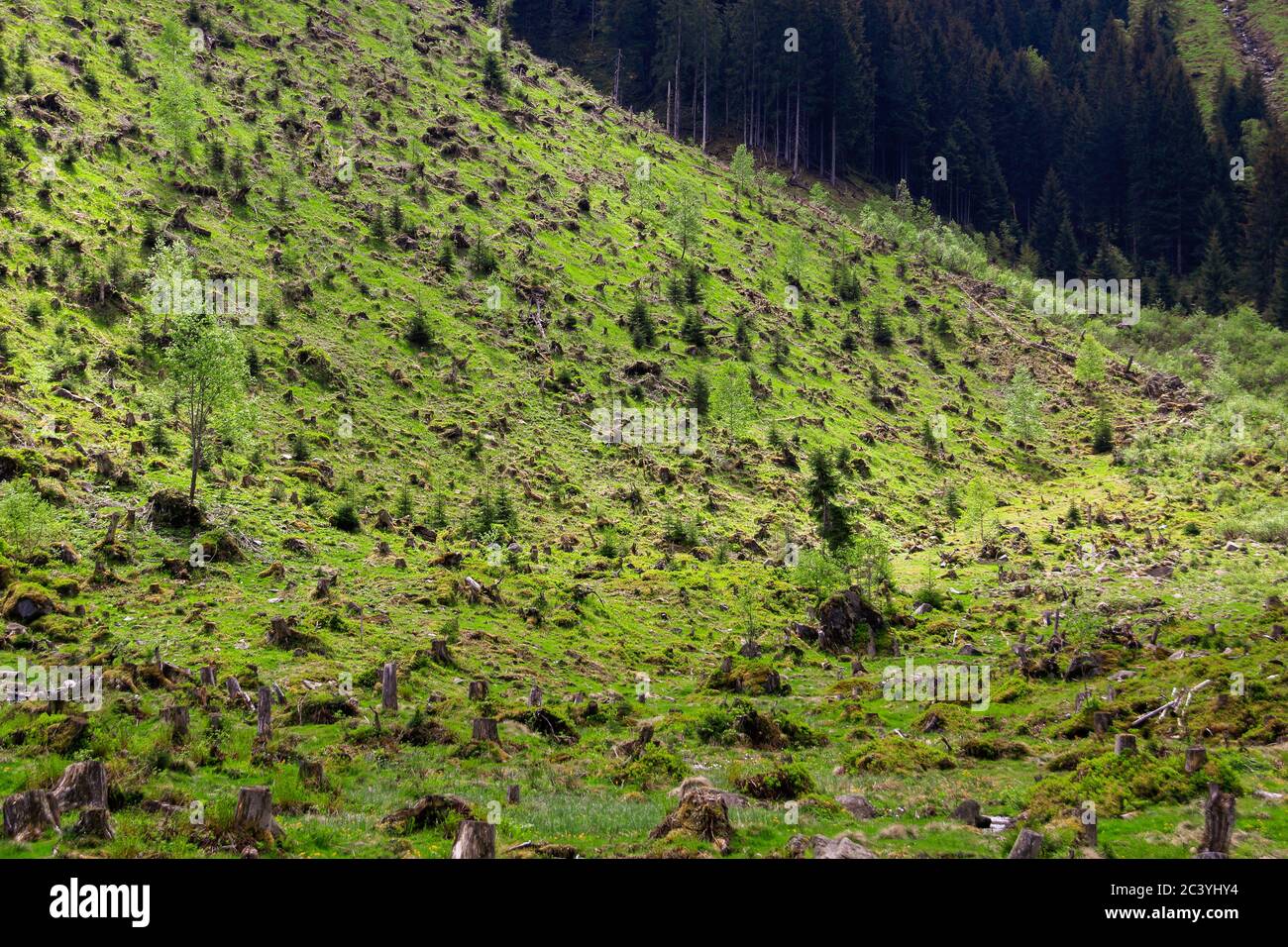Steirischer bodensee hi-res stock photography and images - Alamy