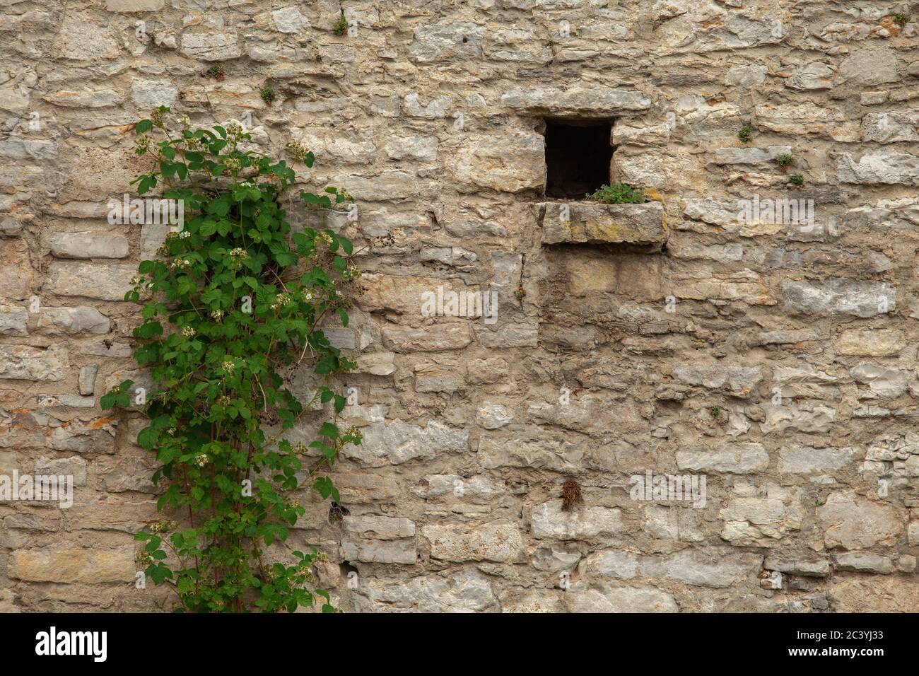 Ashlar structure hi-res stock photography and images - Alamy