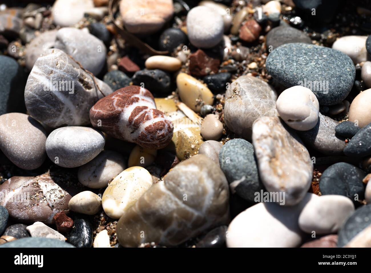 Colour different stones and pebbles on the seaside sand Stock Photo - Alamy
