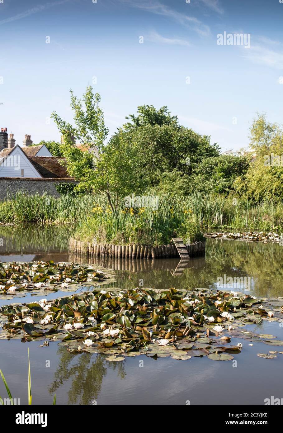 Rottingdean village pond hi-res stock photography and images - Alamy