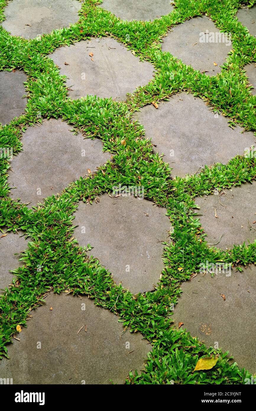 Vertical image of the stone path in the green grass field Stock Photo ...