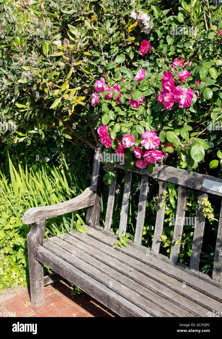 Rottingdean rudyard kipling hi-res stock photography and images - Alamy