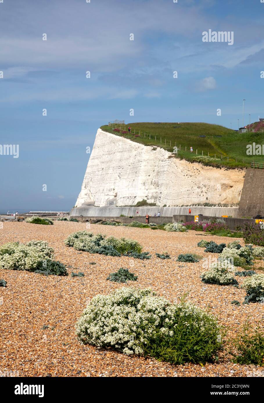 White Cliffs at Saltdean, near Brighton, East Sussex Stock Photo - Alamy