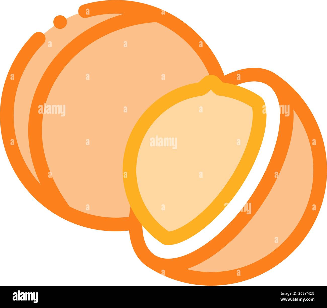 macadamia nut icon vector outline illustration Stock Vector Image & Art ...