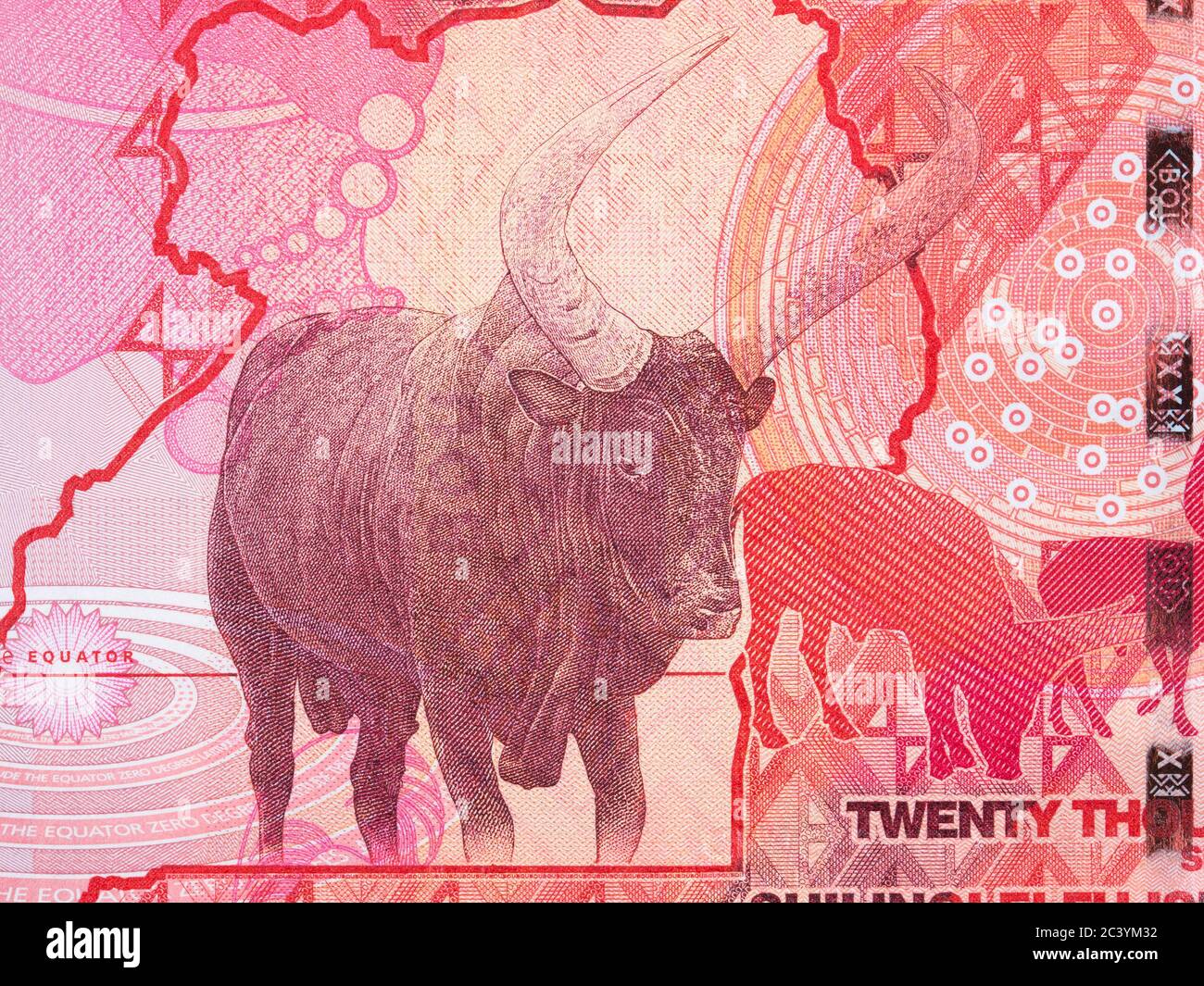 Buffalo a portrait from Ugandan money Stock Photo - Alamy