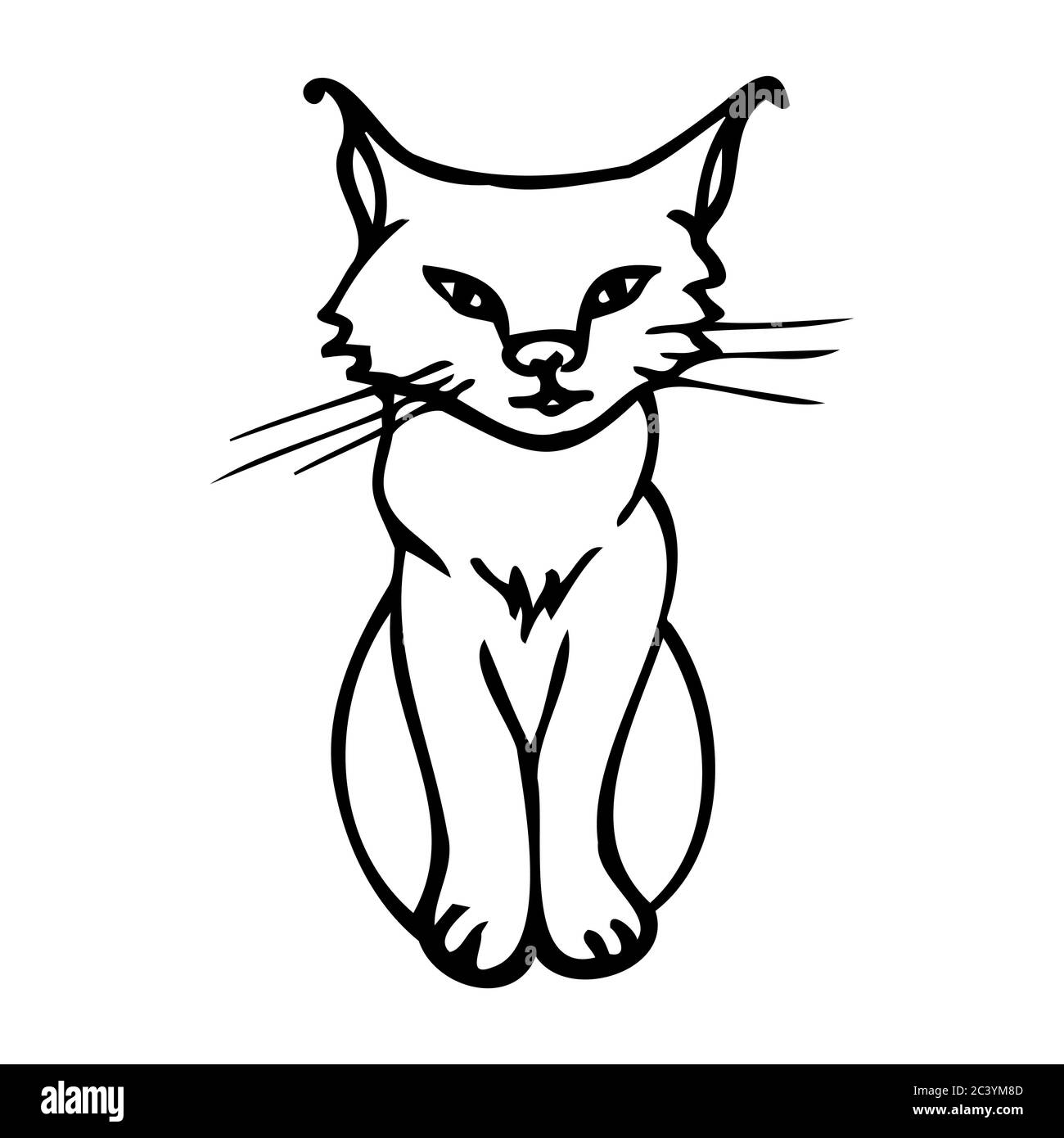 Hand drawn lynx. Cartoon lynx outline doodle style. Vector transparent ...