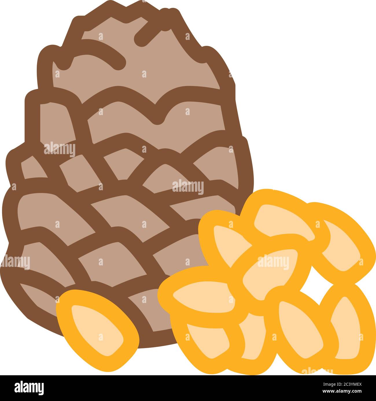 pine nut icon vector outline illustration Stock Vector Image & Art - Alamy