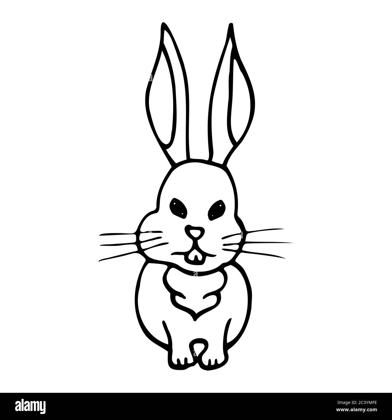 Hand drawn hare. Cartoon hare outline doodle style. Vector transparent ...