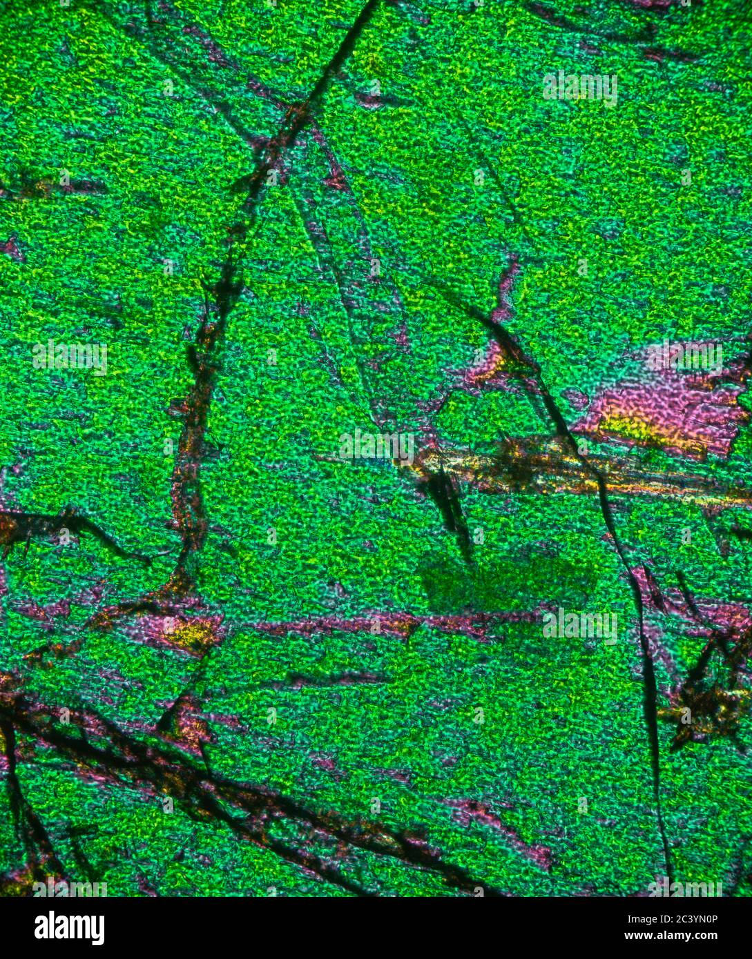 Aegirine, geological sample photographed in polarised light, microscope ...