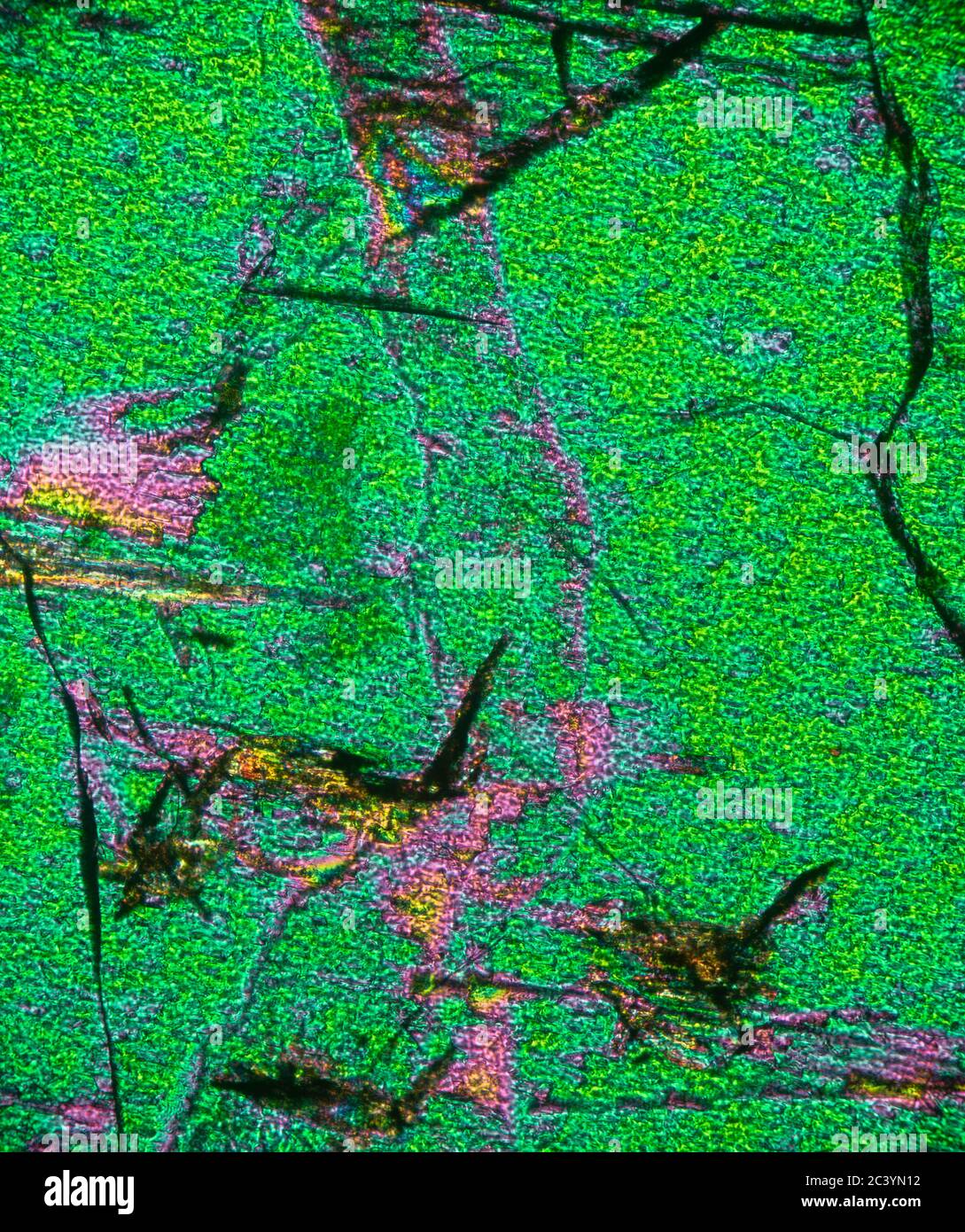 Aegirine, geological sample photographed in polarised light, microscope ...