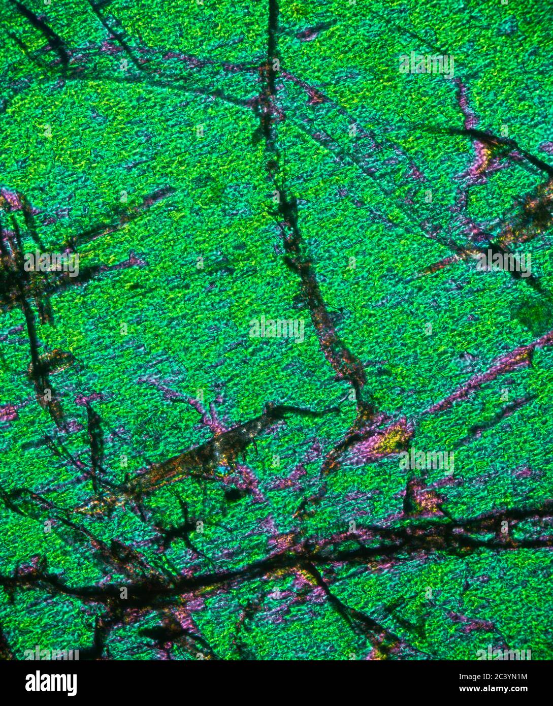 Aegirine, geological sample photographed in polarised light, microscope ...