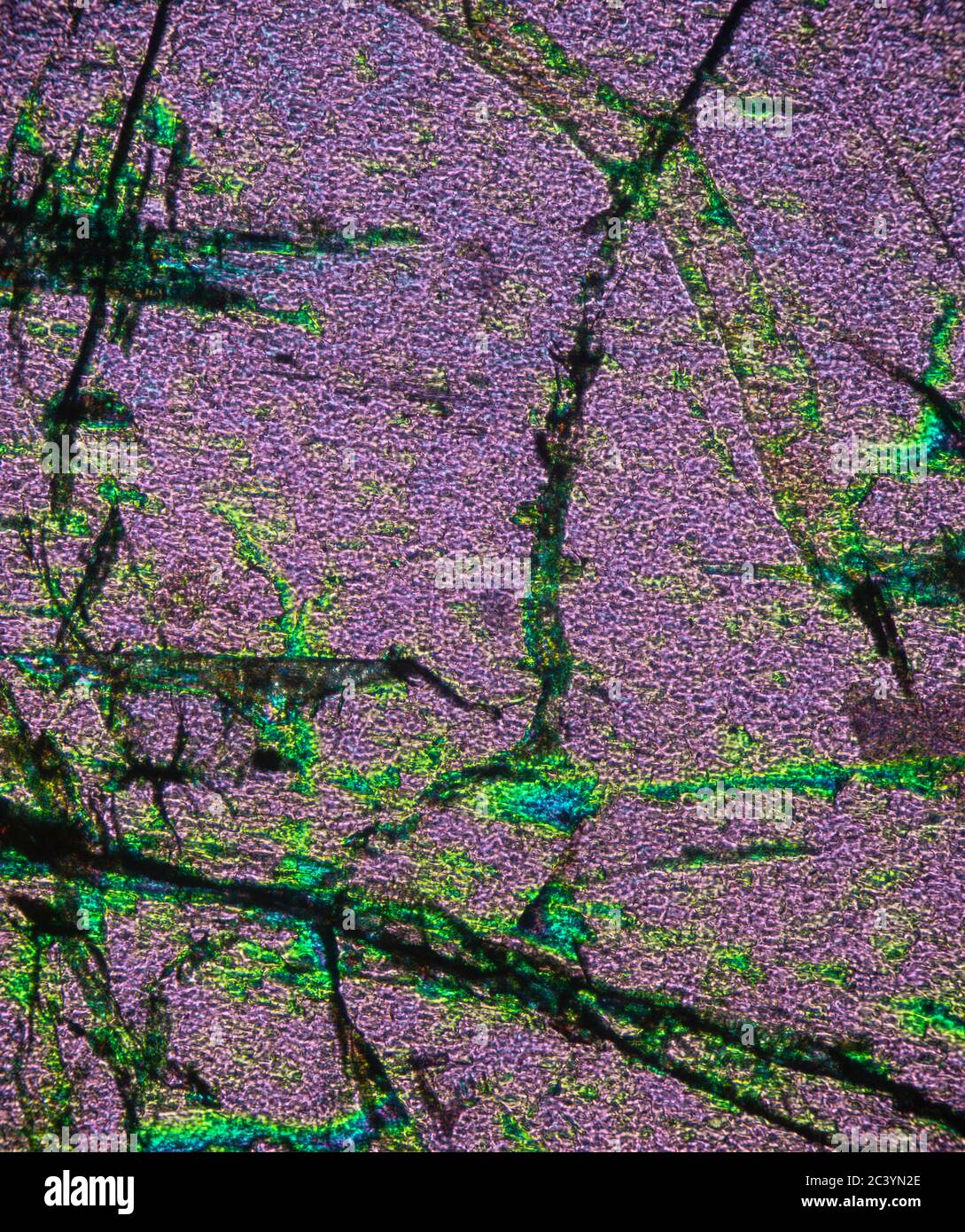 Aegirine, geological sample photographed in polarised light, microscope ...