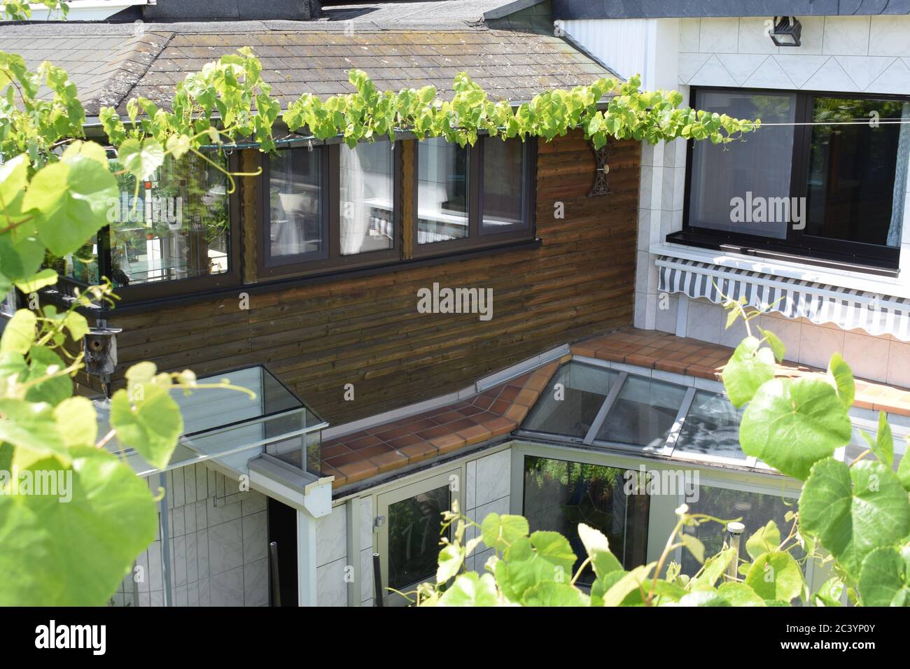 vine roof on the garden Stock Photo - Alamy