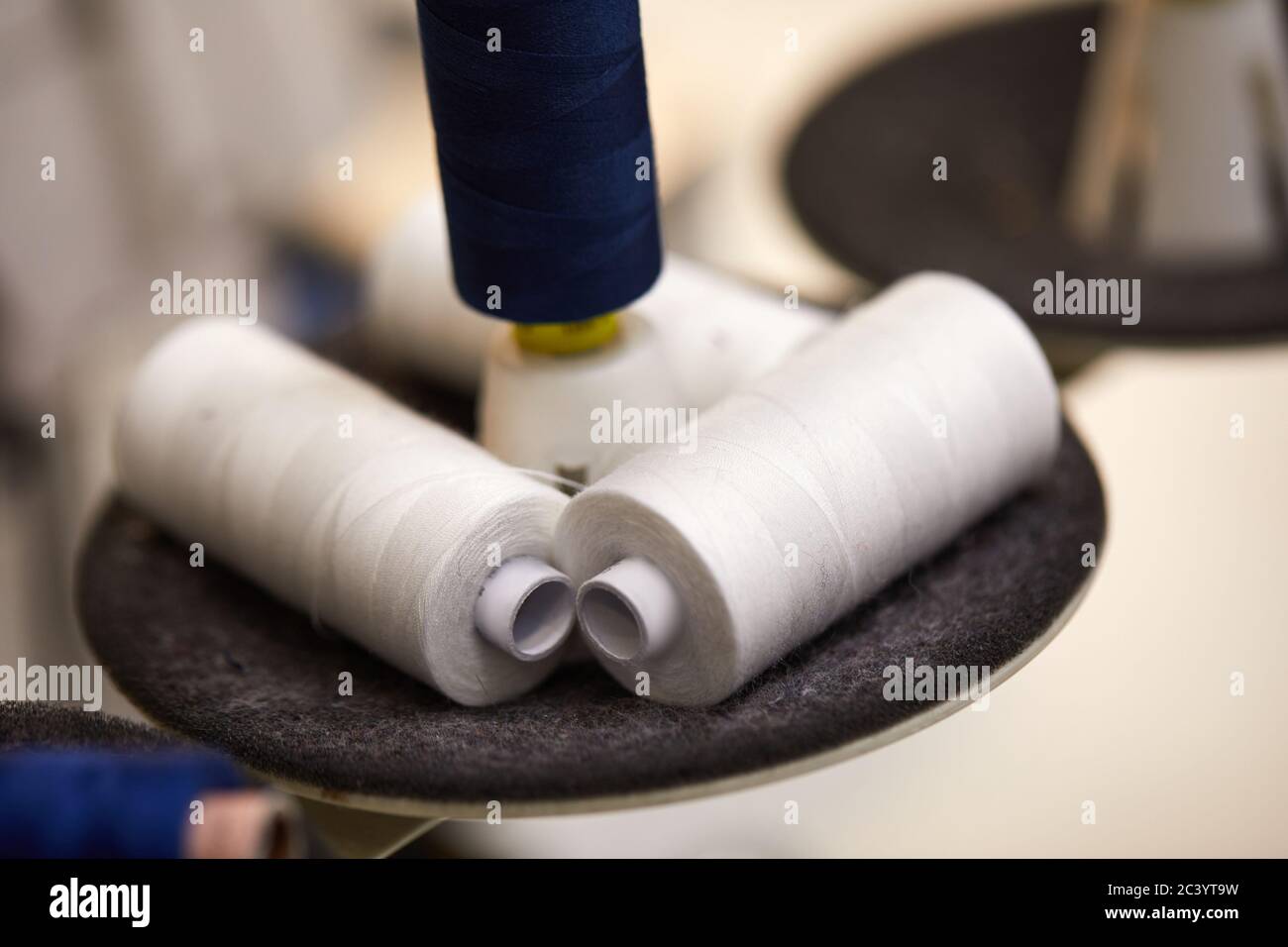 cotton thread rolls for sewing machine. blue and white thread spools ...