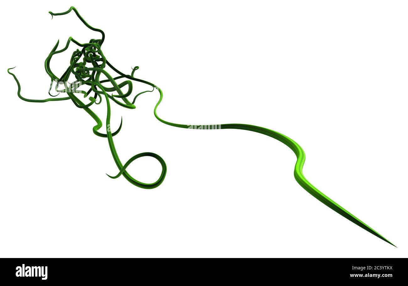 Plant vines green growing twisting tangle one reaching, 3d illustration ...