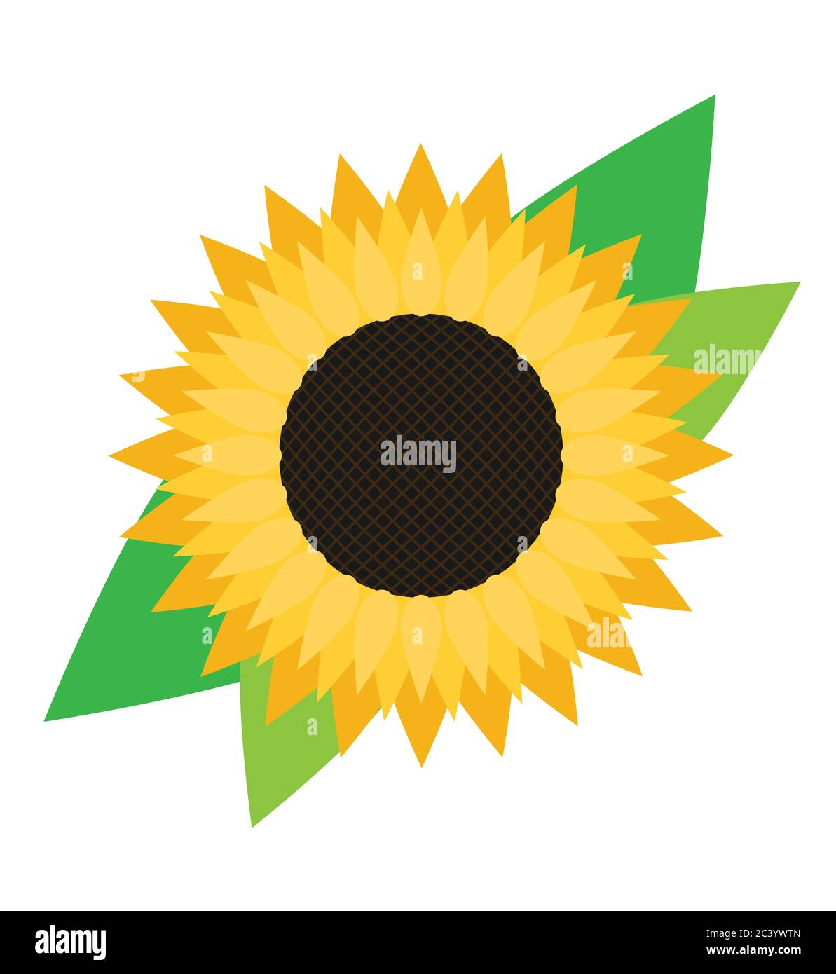 Closeup single yellow sunflower Stock Vector Images - Alamy