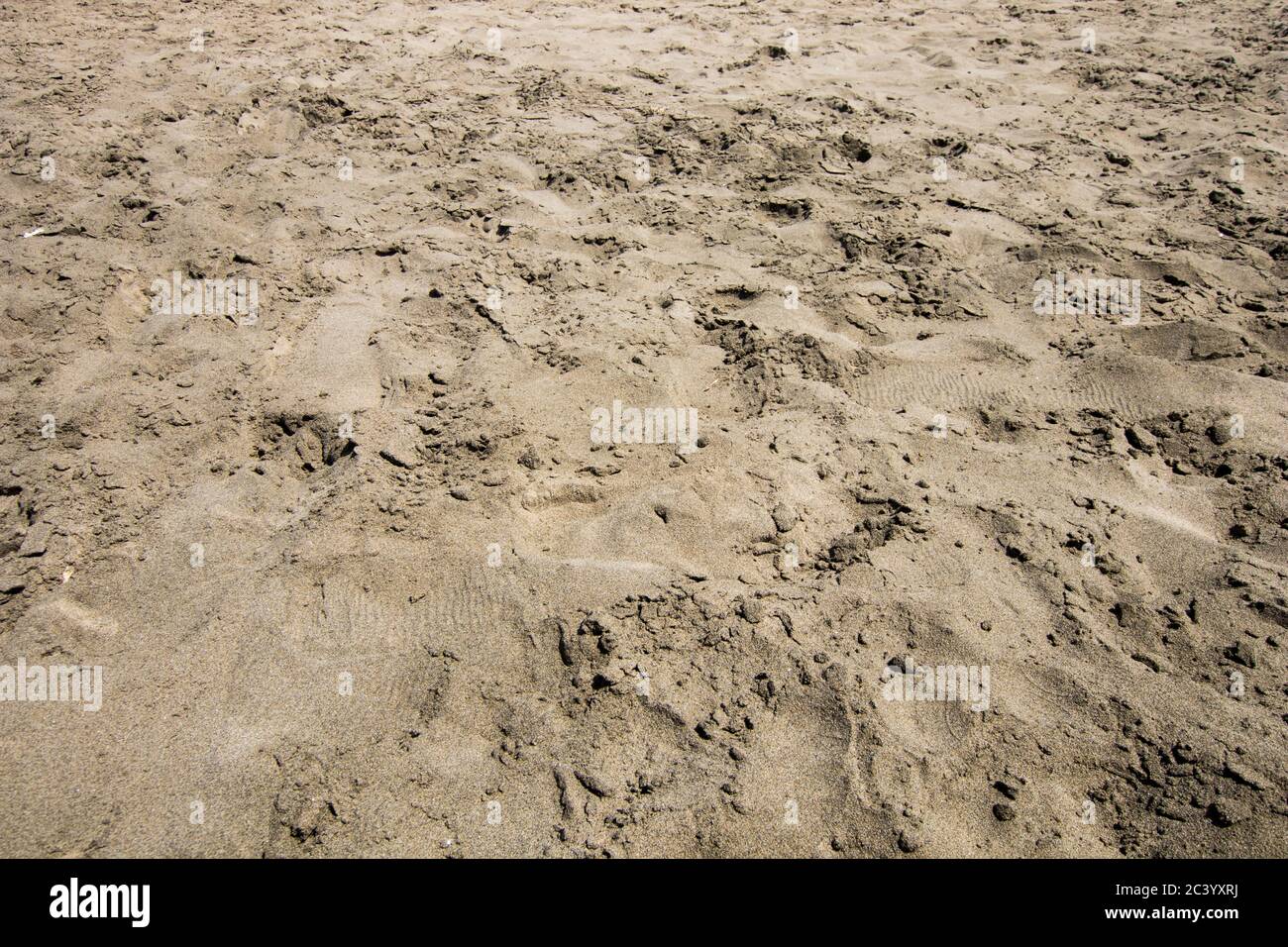 Trampled on hi-res stock photography and images - Alamy