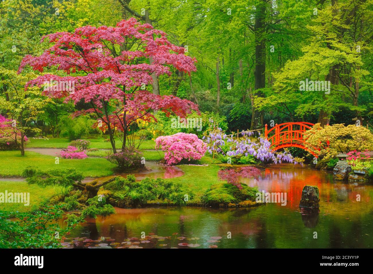 Japanese garden, Park Clingendael, The Hague, Netherlands Stock Photo ...