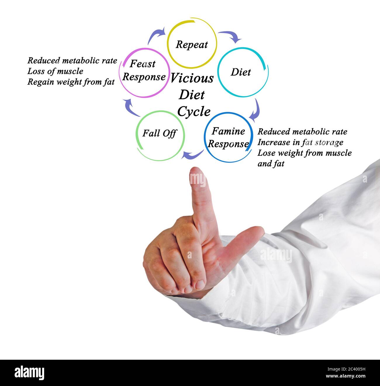 2003 vicious diet cycle repeat hi-res stock photography and images - Alamy