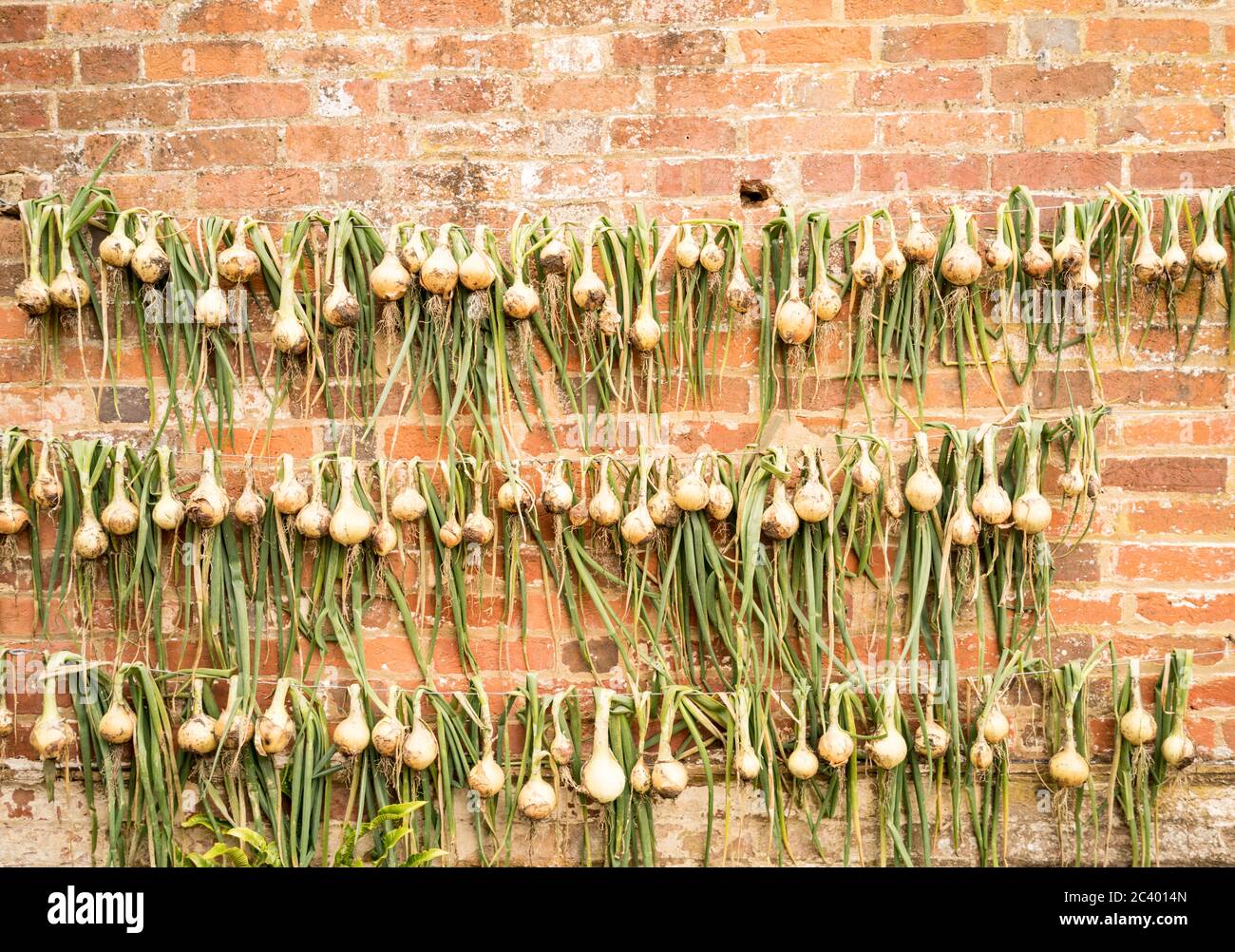 Brick Paths High Resolution Stock Photography and Images - Alamy