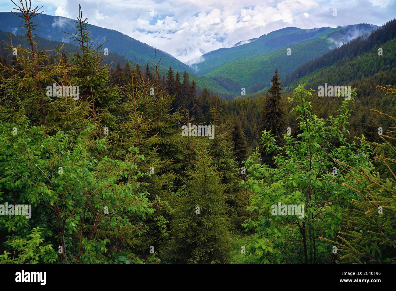 Aerial view of afforested mountains under a cloudy sky Stock Photo - Alamy