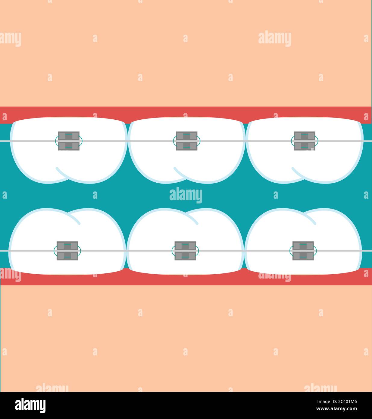 Teeth anatomy poster Stock Vector Images - Alamy