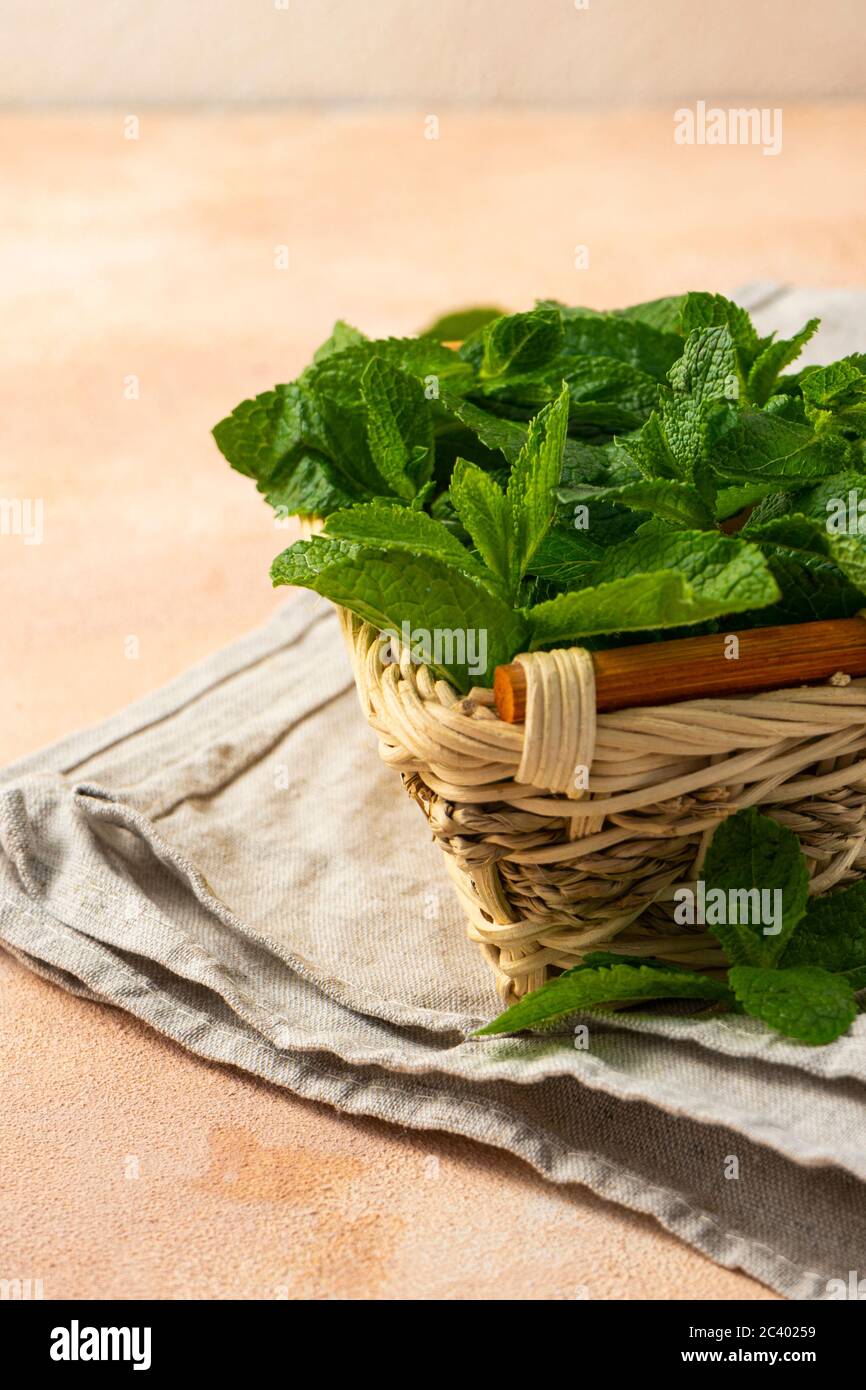Sprigs of peppermint hi-res stock photography and images - Alamy