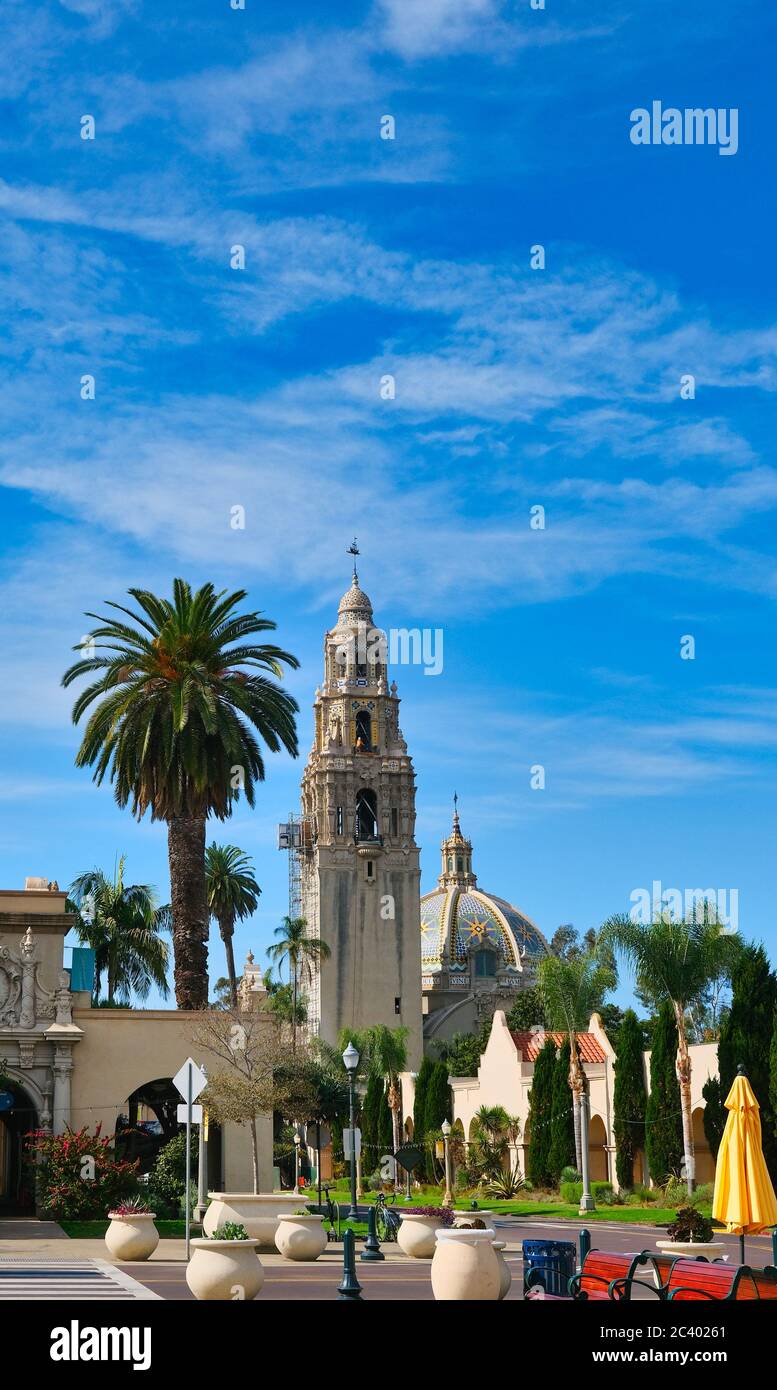 Palm Tree and Bell Tower Stock Photo - Alamy
