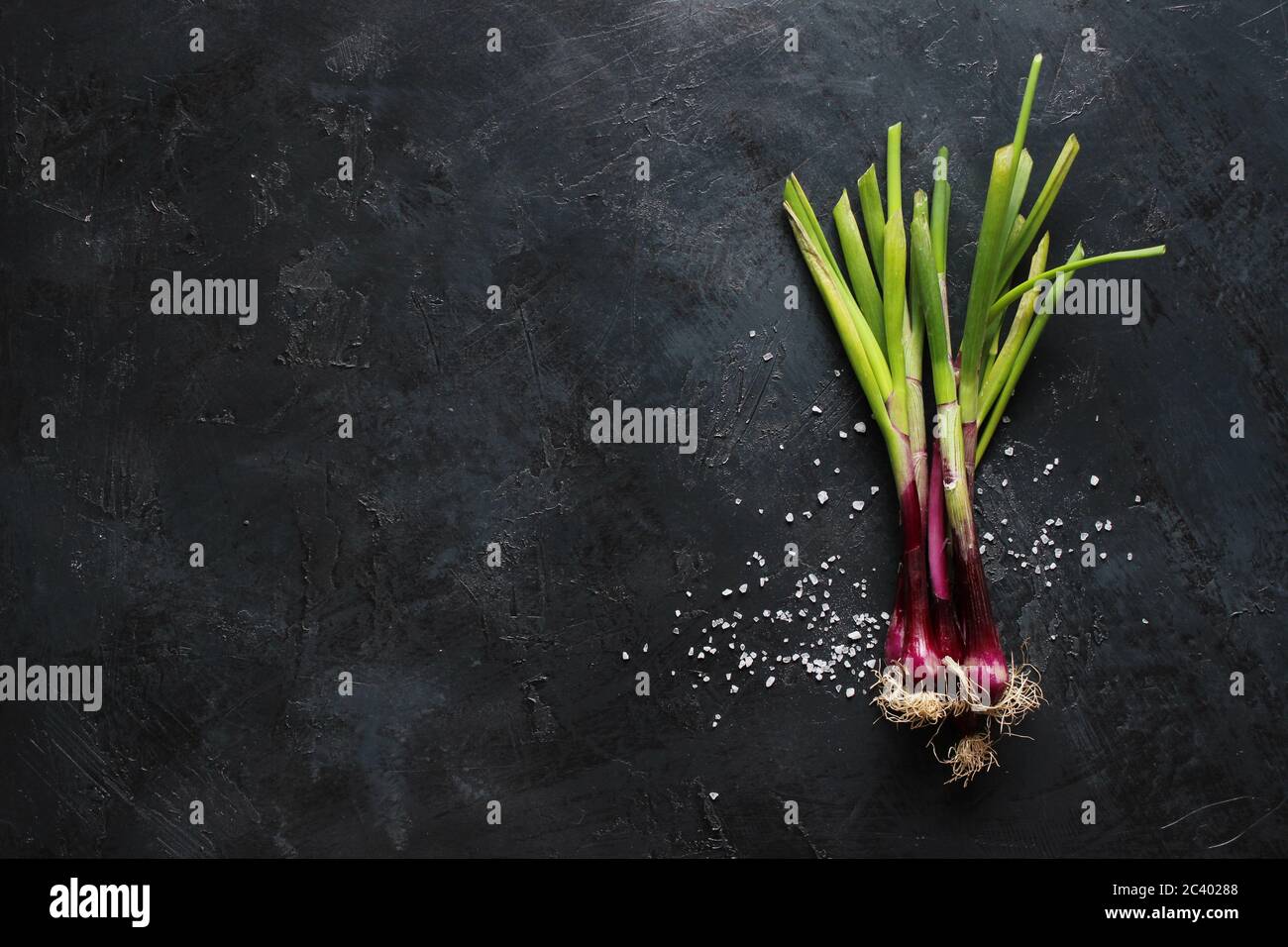 purple spring onions on dark table background Stock Photo - Alamy