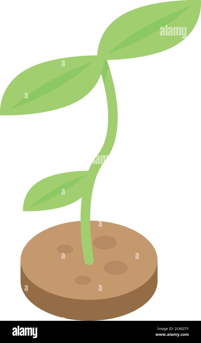 Biology plant icon, isometric style Stock Vector Image & Art - Alamy