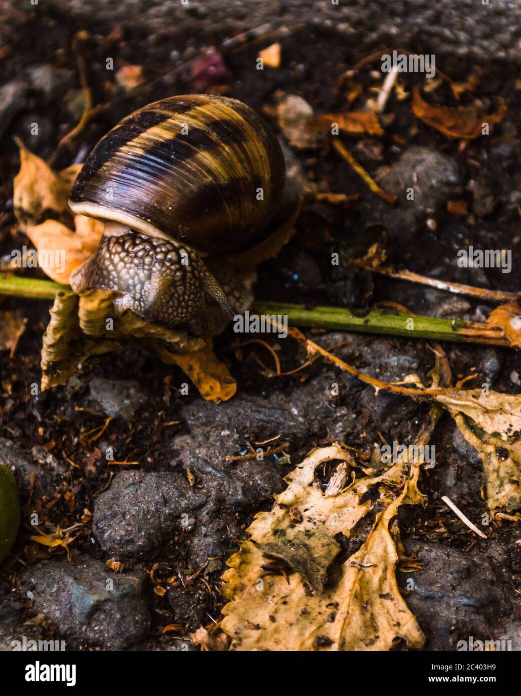 Big move hi-res stock photography and images - Alamy