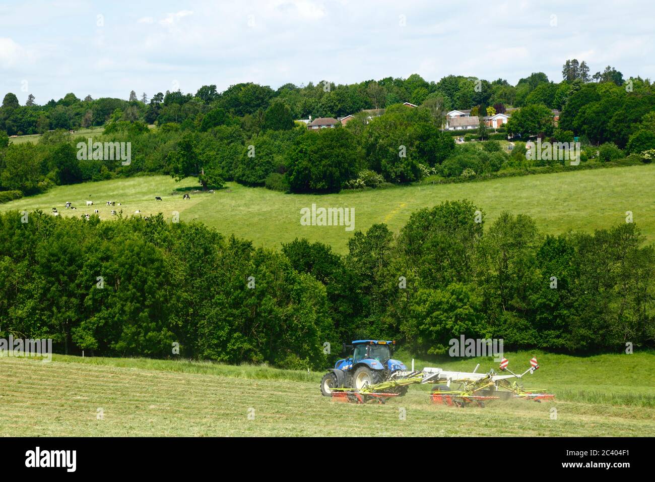Tractor cutting grass and vegetation to make silage, Kent, England ...