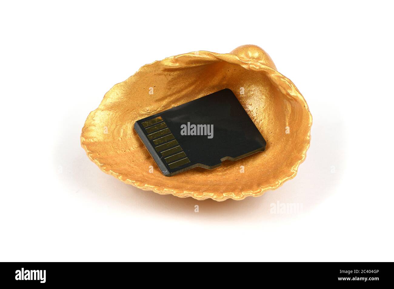 SD memory card on golden seashell isolated on white background. High ...