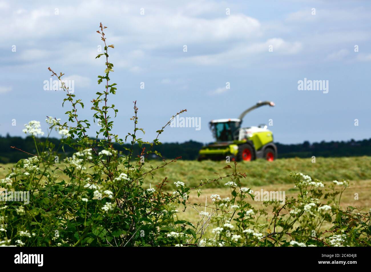 Silage production hi-res stock photography and images - Alamy