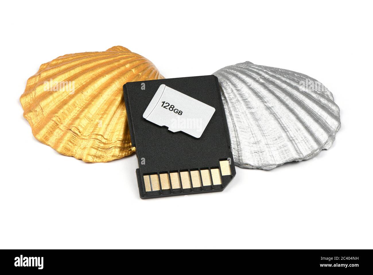 SD memory card isolated on white background. High resolution photo ...